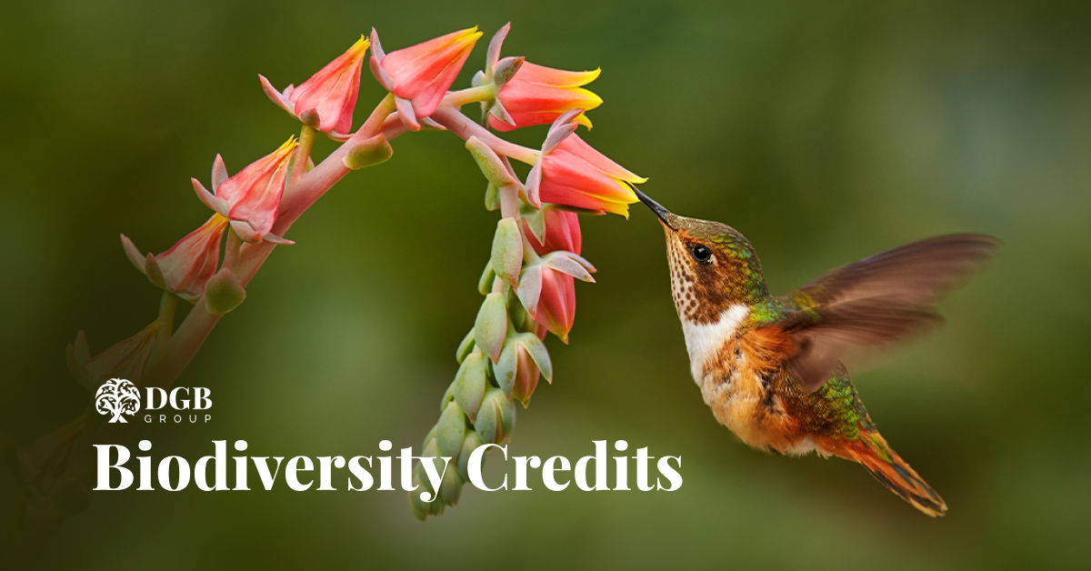 Green Earth | Biodiversity credits brochure